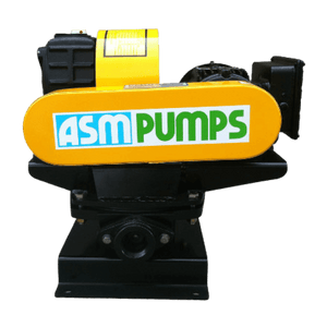 ASM DS32 Diaphragm Pump – 1¼" (32NB) (0.37 kW, 240V Single Phase ...