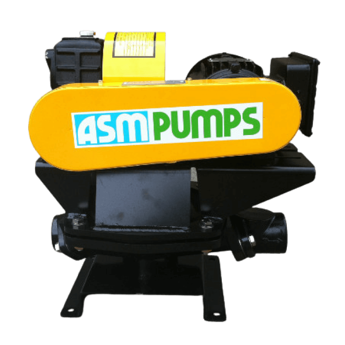 ASM DT38 Diaphragm Pump – 1½" (40NB) (0.75 kW, 415V Three Phase ...
